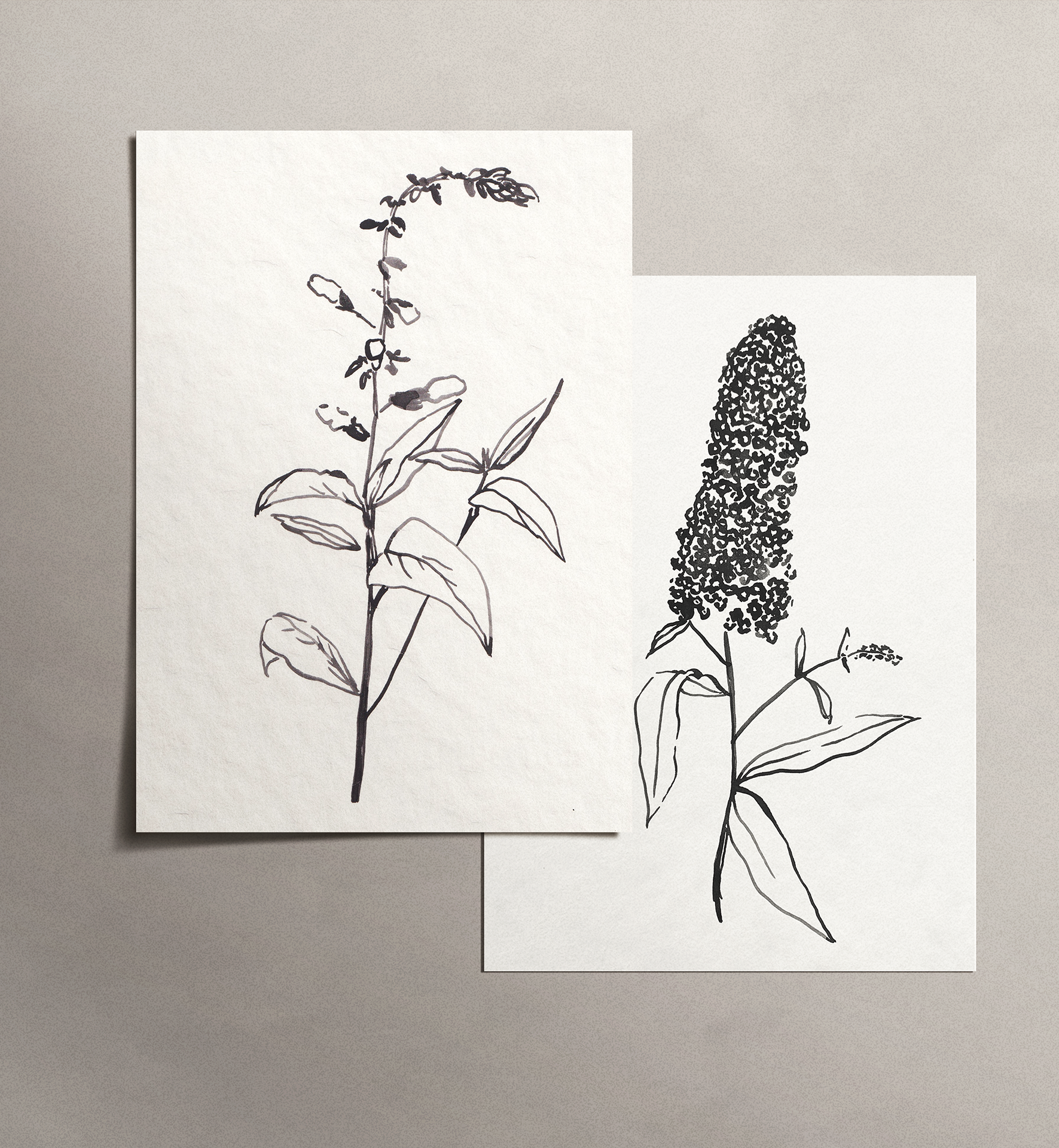 Artwork - Floral – Inkling Design